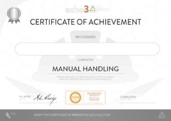 Manual Handling Course Online | £7 - Certificate - 45mins